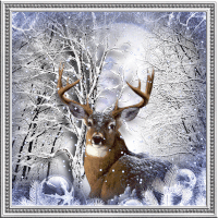 Deer GIFs - Get the best gif on GIFER
