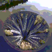 Sinkholes GIFs - Get the best gif on GIFER