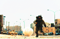 Bigelow GIFs - Get the best gif on GIFER