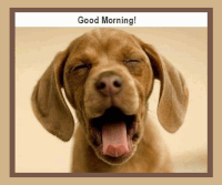 Awake GIFs - Get the best gif on GIFER