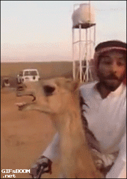 Saudi GIFs - Get the best gif on GIFER