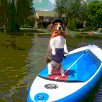 Boat GIFs - Get the best gif on GIFER