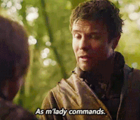 Commands GIFs - Get the best gif on GIFER