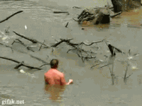 Bonk GIFs - Get the best gif on GIFER