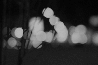 Gaussian гифки, анимированные GIF изображения gaussian - скачать гиф ...