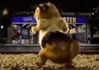 Blockbuster GIFs - Get the best gif on GIFER