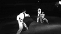 Taekwondo GIFs - Get the best gif on GIFER