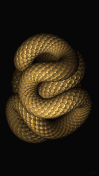 Serpent GIFs - Get the best gif on GIFER