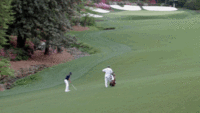 Scoring GIFs - Get the best gif on GIFER