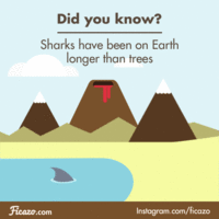 Facts GIFs - Get the best gif on GIFER