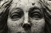 Statue GIFs - Get the best gif on GIFER