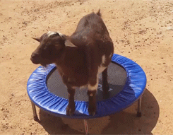 Simulator GIFs - Get the best gif on GIFER