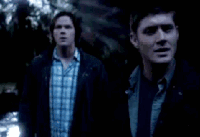 Spn GIFs - Get the best gif on GIFER