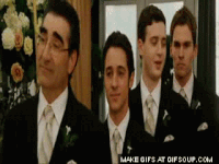 Finch GIFs - Get the best gif on GIFER