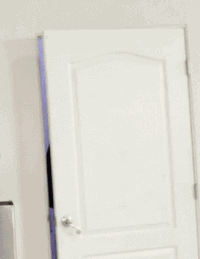 Wasp GIFs - Get the best gif on GIFER