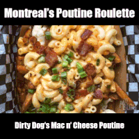 Montreal GIFs - Get the best gif on GIFER