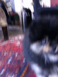 Approach GIFs - Get the best gif on GIFER