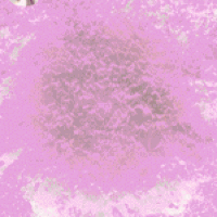Mmmm GIFs - Get the best gif on GIFER