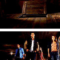 Cellar GIFs - Get the best gif on GIFER