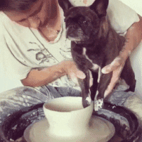 Ceramic GIFs - Get the best gif on GIFER