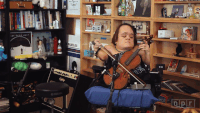 Violon GIFs - Get the best gif on GIFER