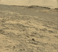 Curiosity GIFs - Get the best gif on GIFER