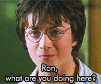 Order now GIFs - Get the best gif on GIFER