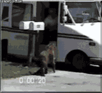 Facteur GIFs - Get the best gif on GIFER