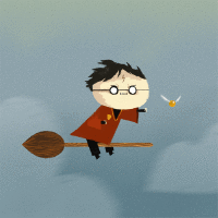 Quidditch GIFs - Get the best gif on GIFER