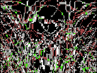 Pollock GIFs - Get the best gif on GIFER