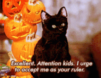 Salem GIFs - Get the best gif on GIFER