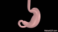 Digestion GIFs - Get the best gif on GIFER