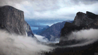 Mist GIFs - Get the best gif on GIFER