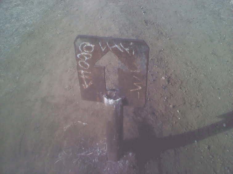 Signfrom GIFs - Get the best gif on GIFER