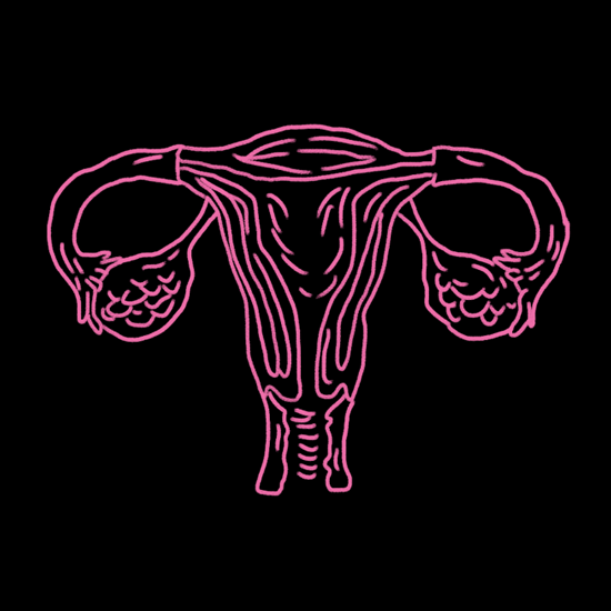 Uterus гифки, анимированные GIF изображения uterus - скачать гиф ...
