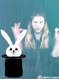 Wt GIFs - Get the best gif on GIFER