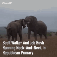 Central bank GIFs - Get the best gif on GIFER