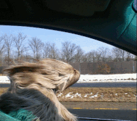 Lightspeed GIFs - Get the best gif on GIFER