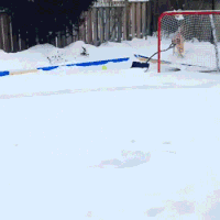 Helpful GIFs - Get the best gif on GIFER