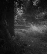 Eerie GIFs - Get the best gif on GIFER