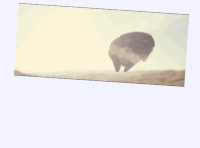 Inertia GIFs - Get the best gif on GIFER