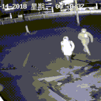 Mastermind GIFs - Get the best gif on GIFER