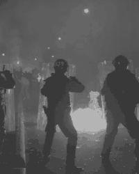 Police GIFs - Get the best gif on GIFER