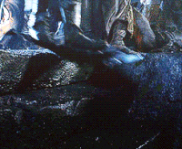 Legolas GIFs - Get the best gif on GIFER