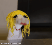 Puppet GIFs - Get the best gif on GIFER