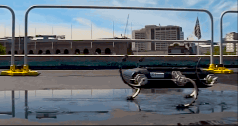 Riverbank GIFs - Get the best gif on GIFER