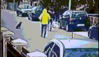 Robbery GIFs - Get the best gif on GIFER