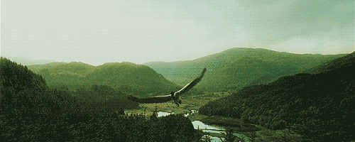 Buckbeak GIFs - Get the best gif on GIFER