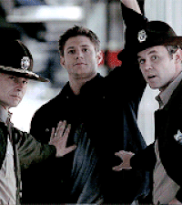 Request GIFs - Get the best gif on GIFER