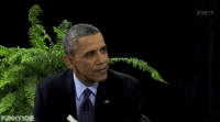 Between GIFs - Get the best gif on GIFER